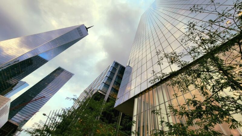 NYC: 9/11 Memorial and Financial District Walking Tour - Practical Tips for Booking and Enjoying the Tour