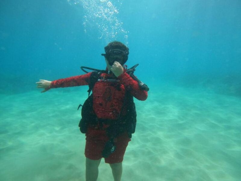 Oahu: Beginner SCUBA Dive at Electric Beach - Practical Tips and Considerations