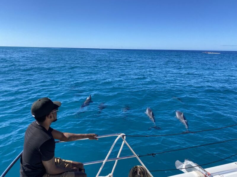 Oahu: Private Turtle Snorkeling with Customizable Itinerary - Who this tour suits best