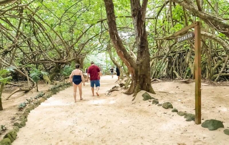 Oahu: Secret Beach Circle Island Adventure - Final Thoughts