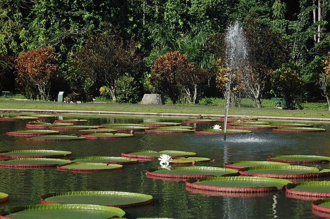 One Day Trip : Bogor Highland Waterfall Tour With Lunch - The Sum Up