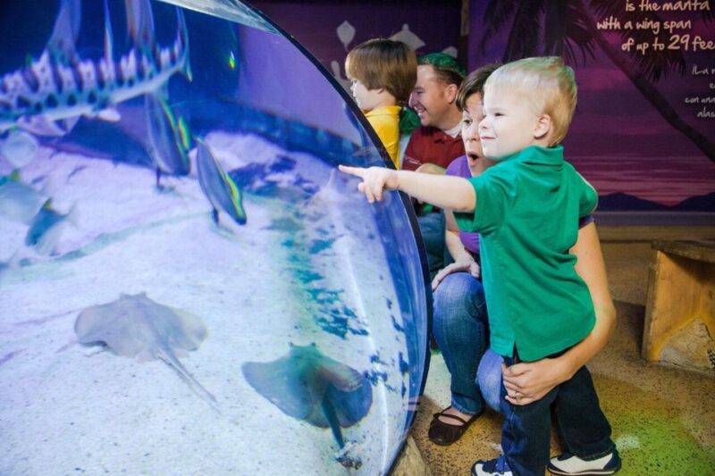 Orlando: SEA LIFE Orlando Aquarium - Who Should Visit SEA LIFE Orlando Aquarium?