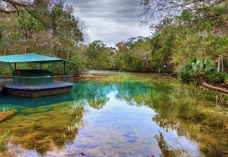 Orlando: Swim with Manatees and Homosassa State Park Visit - FAQ