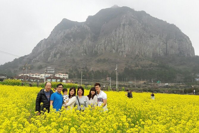 Package tour of All areas of Jeju Island-(East &South &West) - Final Thoughts