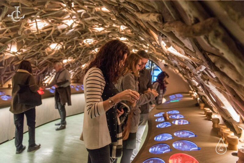 Paris: French Wine Experience in Parisian Cellar - Who Will Love This Tour?