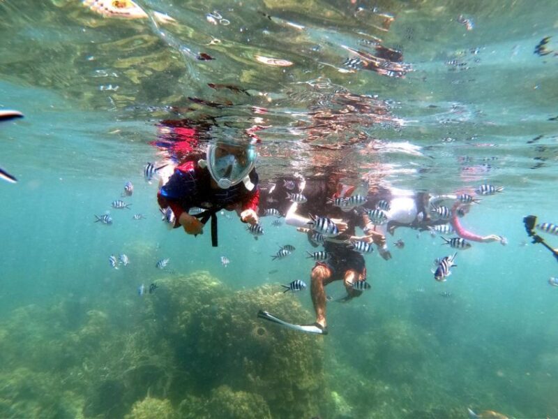 Phi Phi: Half-Day Phi Phi Snorkeling Trip by Longtail Boat - Final Thoughts