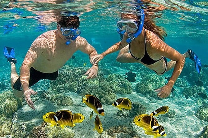 Phu Quoc: Snorkeling and Island Hopping By Speedboat with Lunch - FAQ
