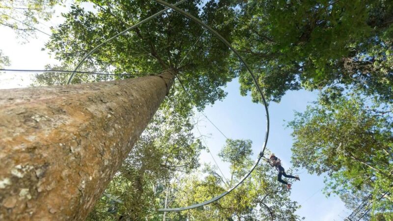 Phuket: Hanuman World Zip Line Adventure - Duration and Flexibility