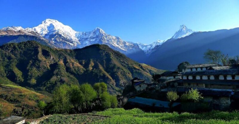 Pokhara: Guided Day Hike From Dampus To Australian Base Camp - FAQ