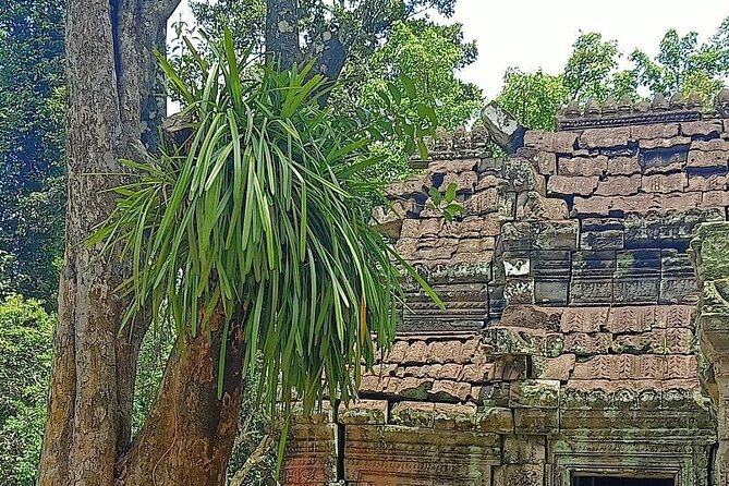Private Angkor Wat Guided Sunset Tour - Who Is This Tour Best For?