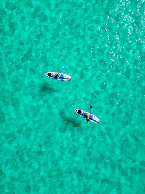 Private Boat Trip & Snorkel to Marine Reserve Mallorca - Authentic Feedback and Real Experiences