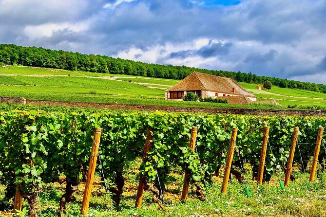 Private Burgundy 4 Domains 20 Chablis Wines tasting from Paris - The Sum Up