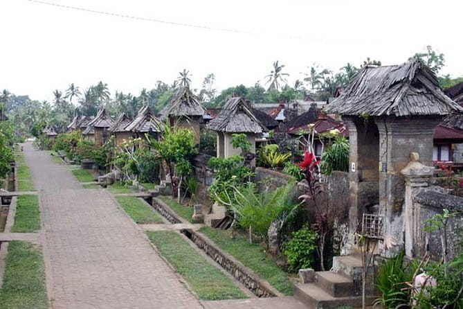 Private Chartered Car to Bali Temples With Besakih Temple - Who Should Consider This Tour?