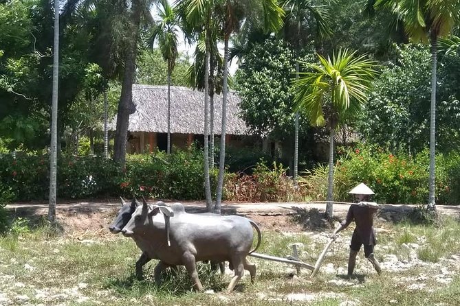 Private Day Trip To Visit MY LAI MASSACRE from Hoi an or Da Nang City - FAQs