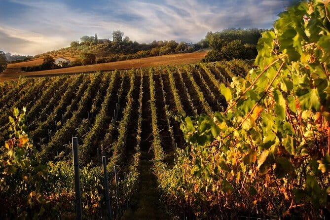 Private Flavors of Florence Walking Tour (Food and Wine Included) - Practical Tips for Participants