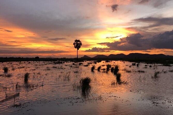 Private Full Day Tuk Tuk Tour in Battambang - FAQ