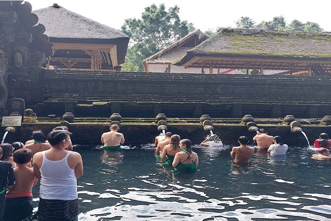 Private Guided Full Day Ubud Tour - Jungle Swing: Adrenaline and Stunning Views