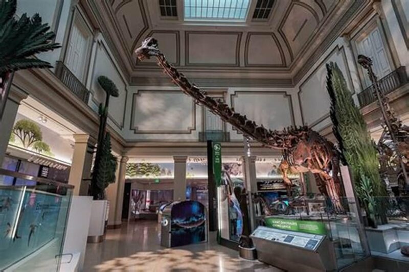 Private Guided Tour of The Natural History Museum - Final Thoughts