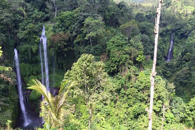 Private Tour: Jatiluwih Rice Terrace,Ulun danu and Banyu Mala Waterfall Tour - The Sum Up