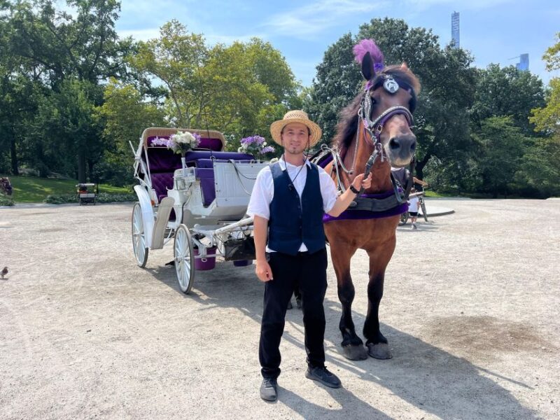 Royal Carriage Ride in Central Park NYC - The Sum Up