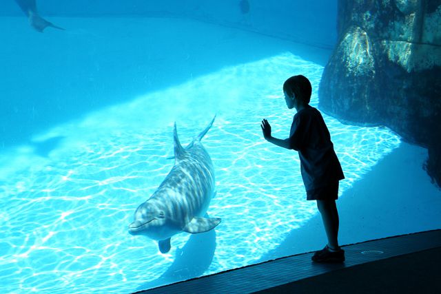 San Diego: SeaWorld Skip-the-Line Park Admission Ticket - Dining Options and Value