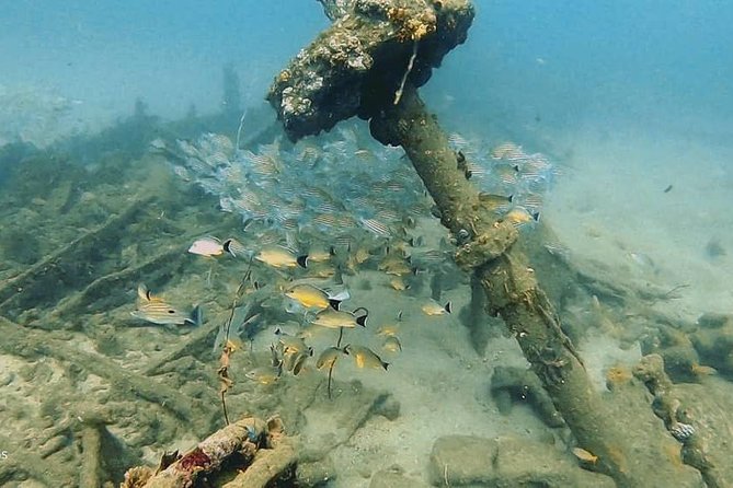 Scuba Diving at Unawatuna - Real Traveler Experiences