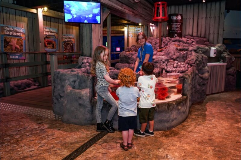 SEA LIFE Great Yarmouth - Final Thoughts
