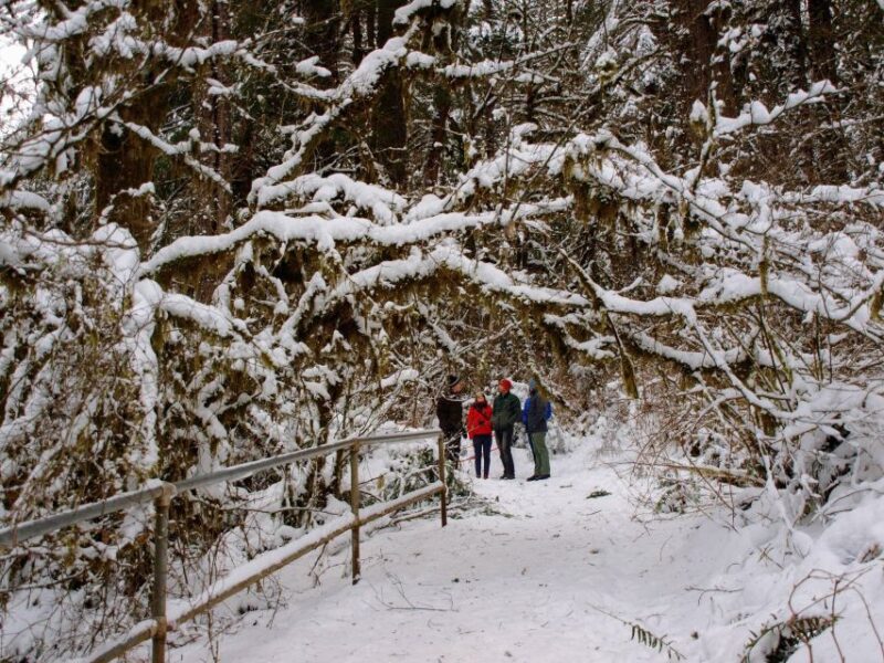 Seattle: Longmire in Mount Rainier Winter Day Tour - Final Thoughts