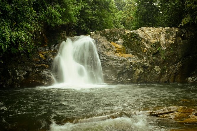 Sinharaja RainForest Private Full Day Tour - FAQs