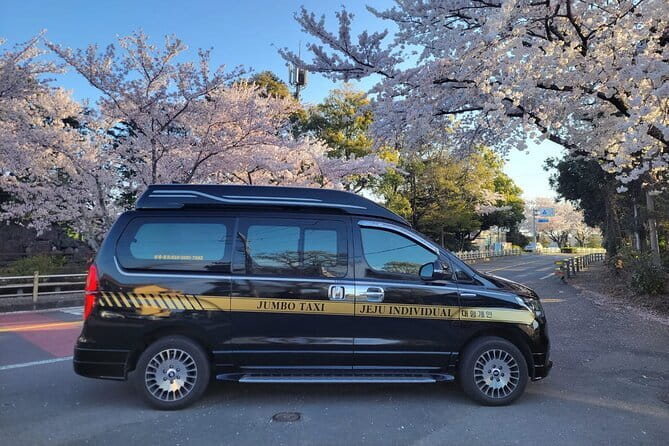 Small Group Tour in South Jeju Healing Island - FAQ about the Small Group Tour in South Jeju