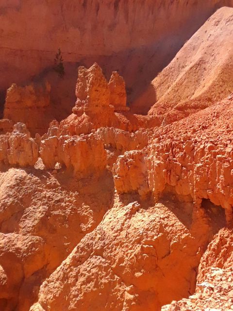 Small Group Tour Zion & Bryce Canyon National from Las Vegas - Final Summary
