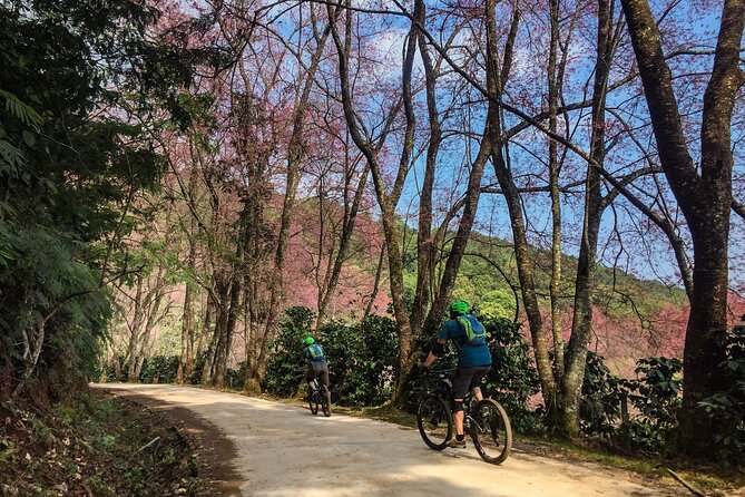 Smoke on the Water Trail Mountain Biking Tour Chiang Mai - Frequently Asked Questions