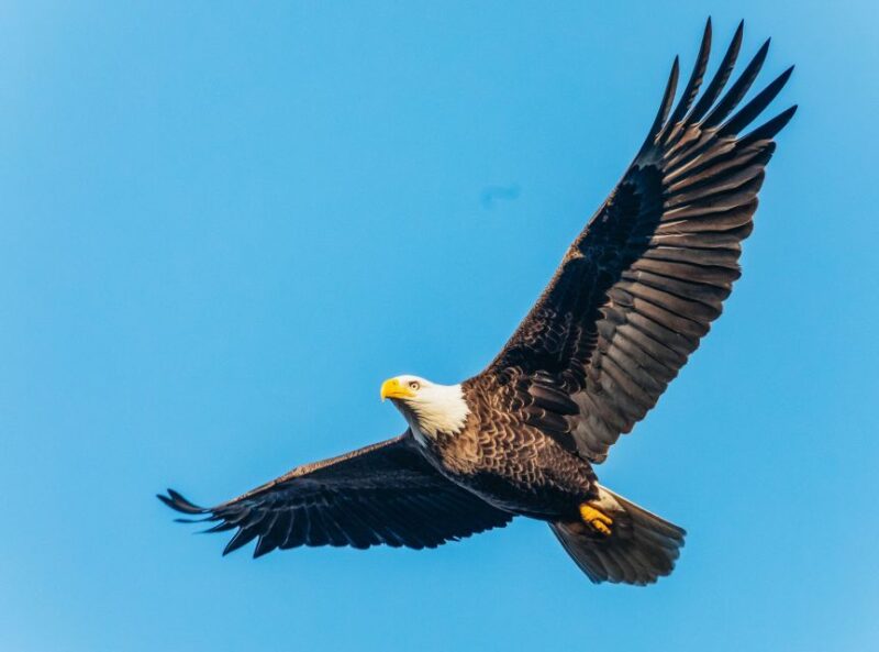 South Lake Tahoe: Sightseeing Cruise of Emerald Bay - FAQ
