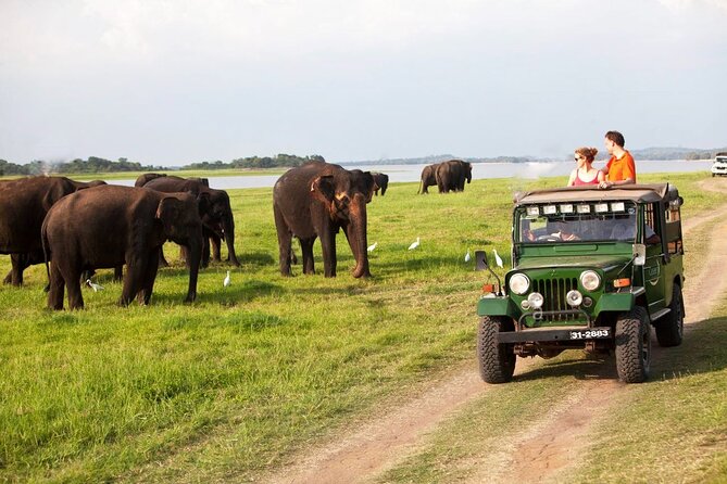 Sri Lanka; Professional Chauffeur Guide With Modern Vehicles - FAQs