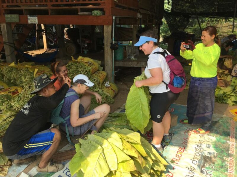 Sukhothai: Half-Day Countryside Bike Tour - Final Thoughts