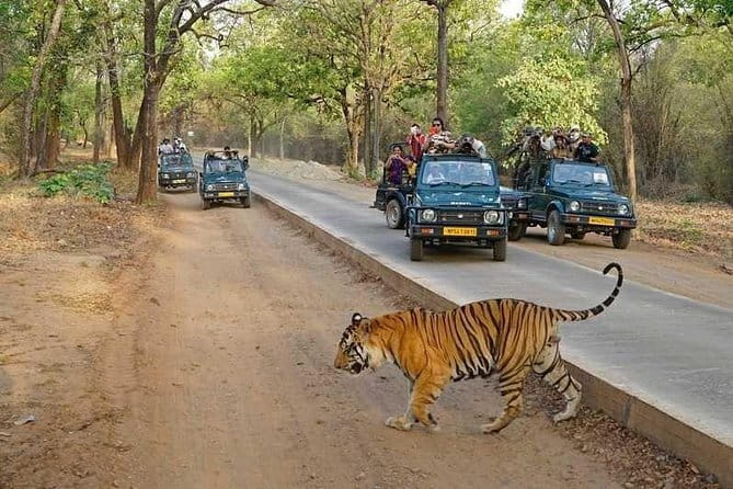 Taj Mahal & Agra Private Day Tour from New Delhi by Car with Meal - FAQ