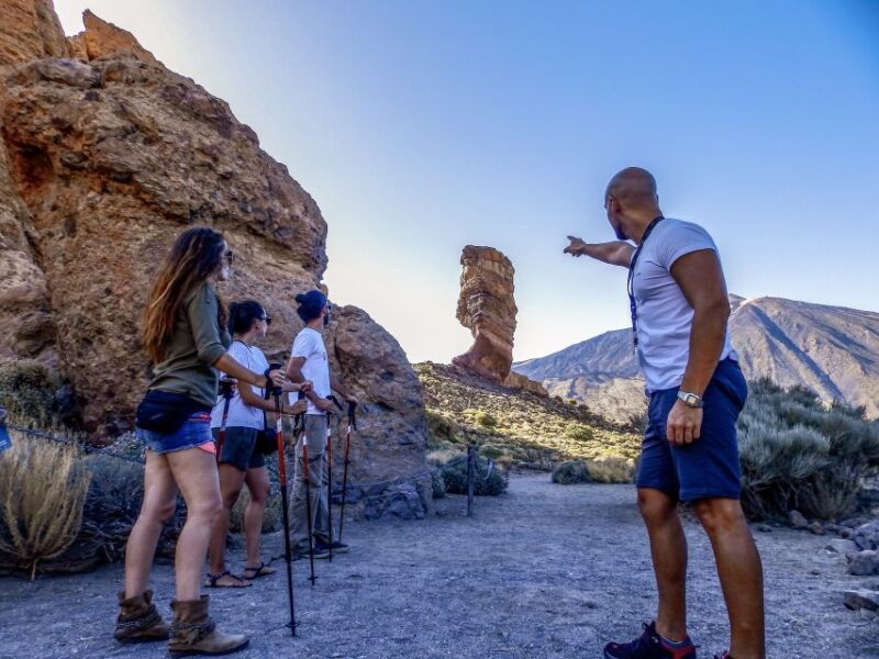 Tenerife: Teide National Park & Teno Rural Park Private Tour - The Sum Up