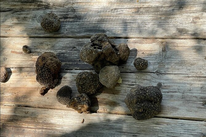 Truffle Hunting, Culinary & Wine Celebration from Elounda - The Sum Up