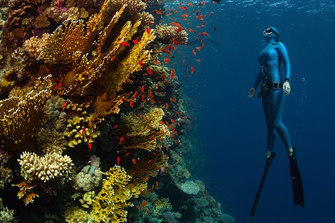 Try Freediving on Nusa Penida - The Sum Up