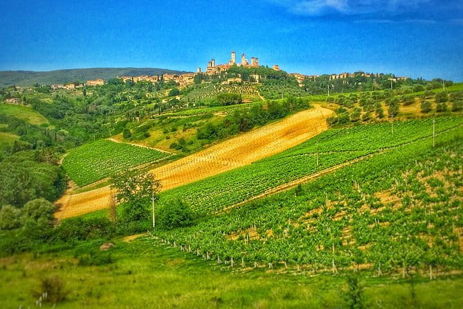 Tuscany Vespa Tour from Florence with Wine Tasting - Frequently Asked Questions