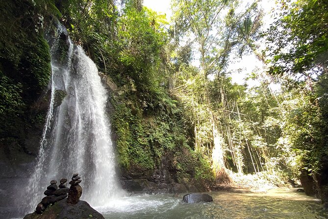 UBUD Spring Temple, Waterfall, Rice Terraces Private Tour - Final Thoughts