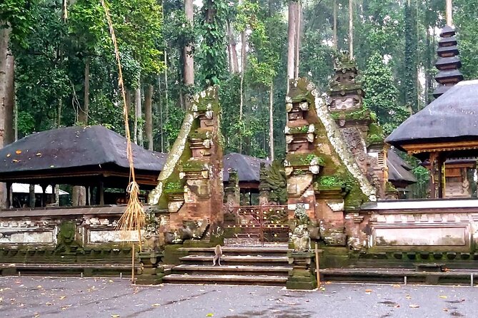 Ubud Tour - Best Of Ubud With Jungle swing - All Inclusive - Final Thoughts