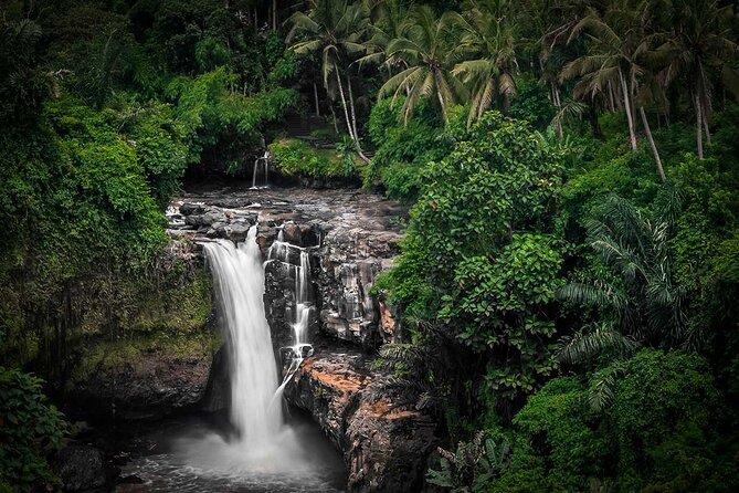 Ubud Tour: Monkey forest, rice terraces, temple, waterfall - Authentic Experiences and Authenticity