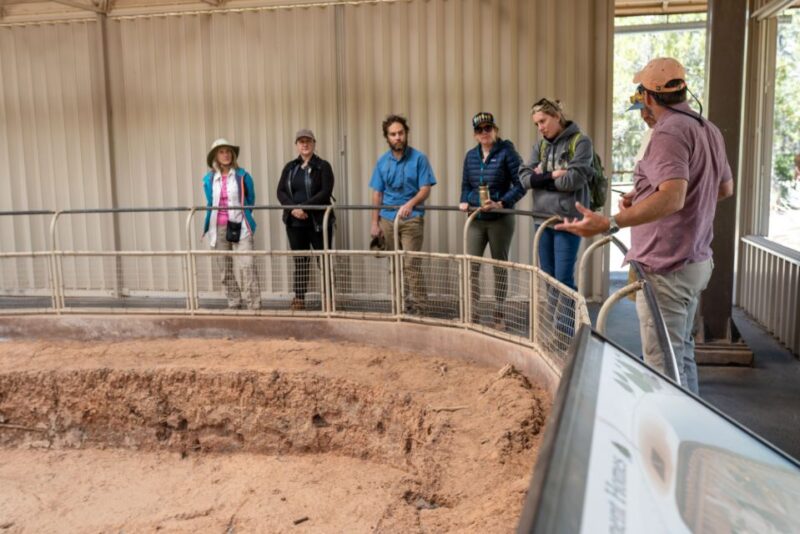 Ultimate Mesa Verde Experince National Park Tour ~ PRIVATE - Practical Details and Tips