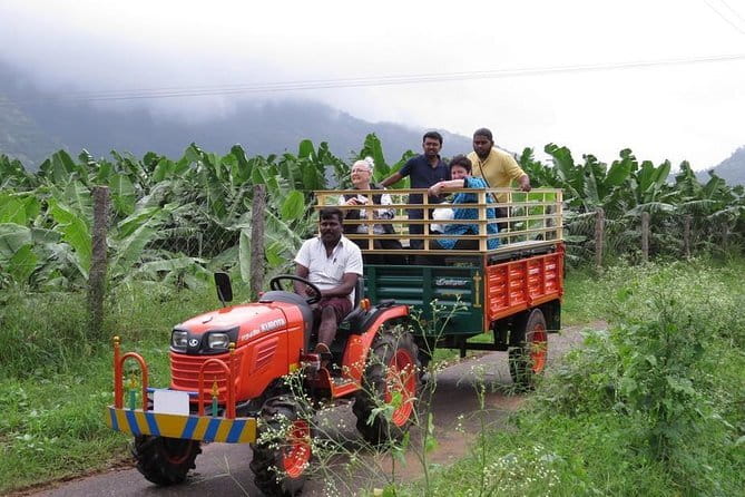 Village Bike Tour & Birdwatching - Final Thoughts