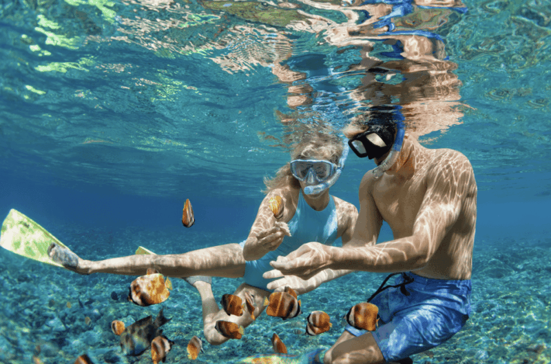 Waikiki Turtle Snorkel Adventure - Final Thoughts