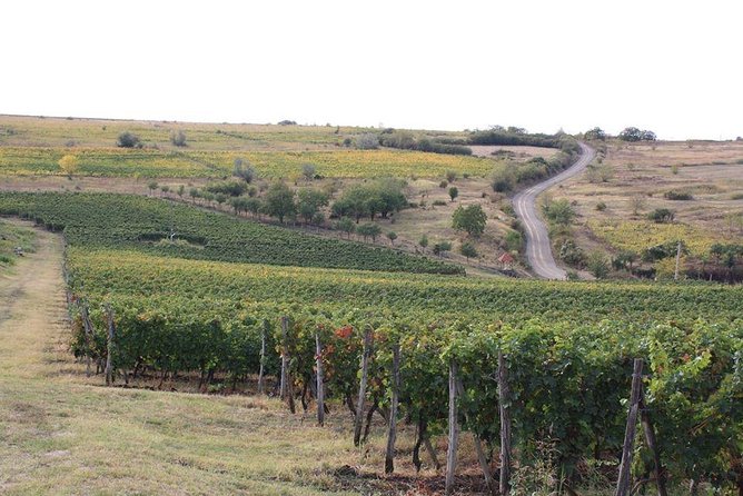 Wines of Wallachia  8 hours - The Sum Up