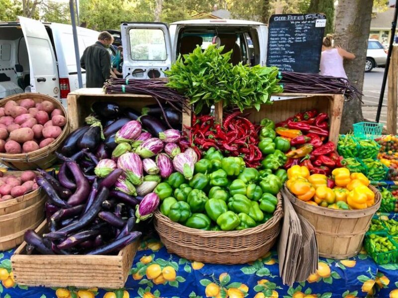 Yolo: Vineyards, Farms & Cultural Gems - Audio Driving Tour - Who Will Enjoy This Tour?
