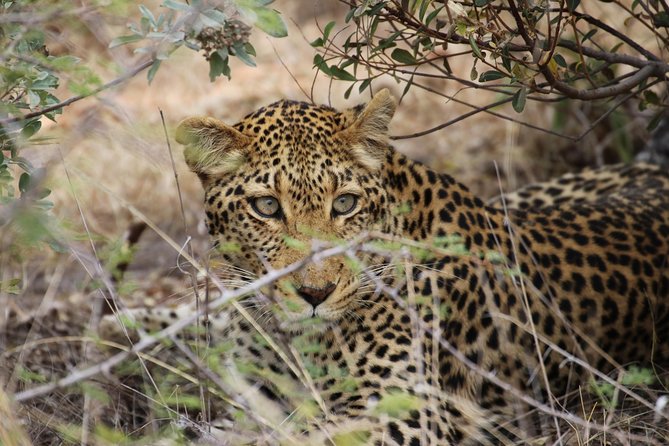 14 Days Sri Lanka Tour - Explore Sri Lanka - FAQ