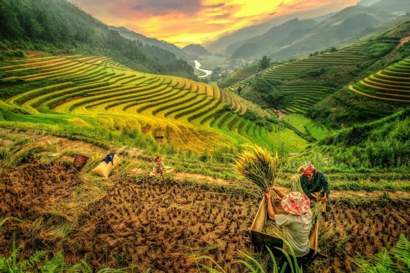2-Day Sapa Tour - Overnight in Ta Van Village (All in One) - FAQ